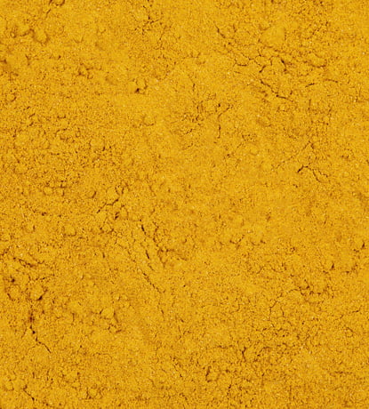 Cari Fort Moulu Madras – Délices de la fôret Valli