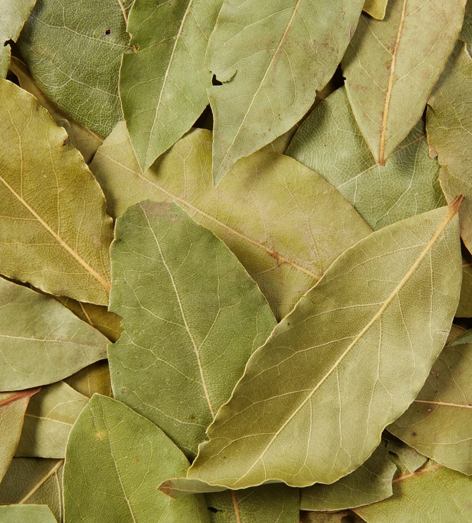 Feuilles de laurier entières Semi select – Délices de la fôret Valli