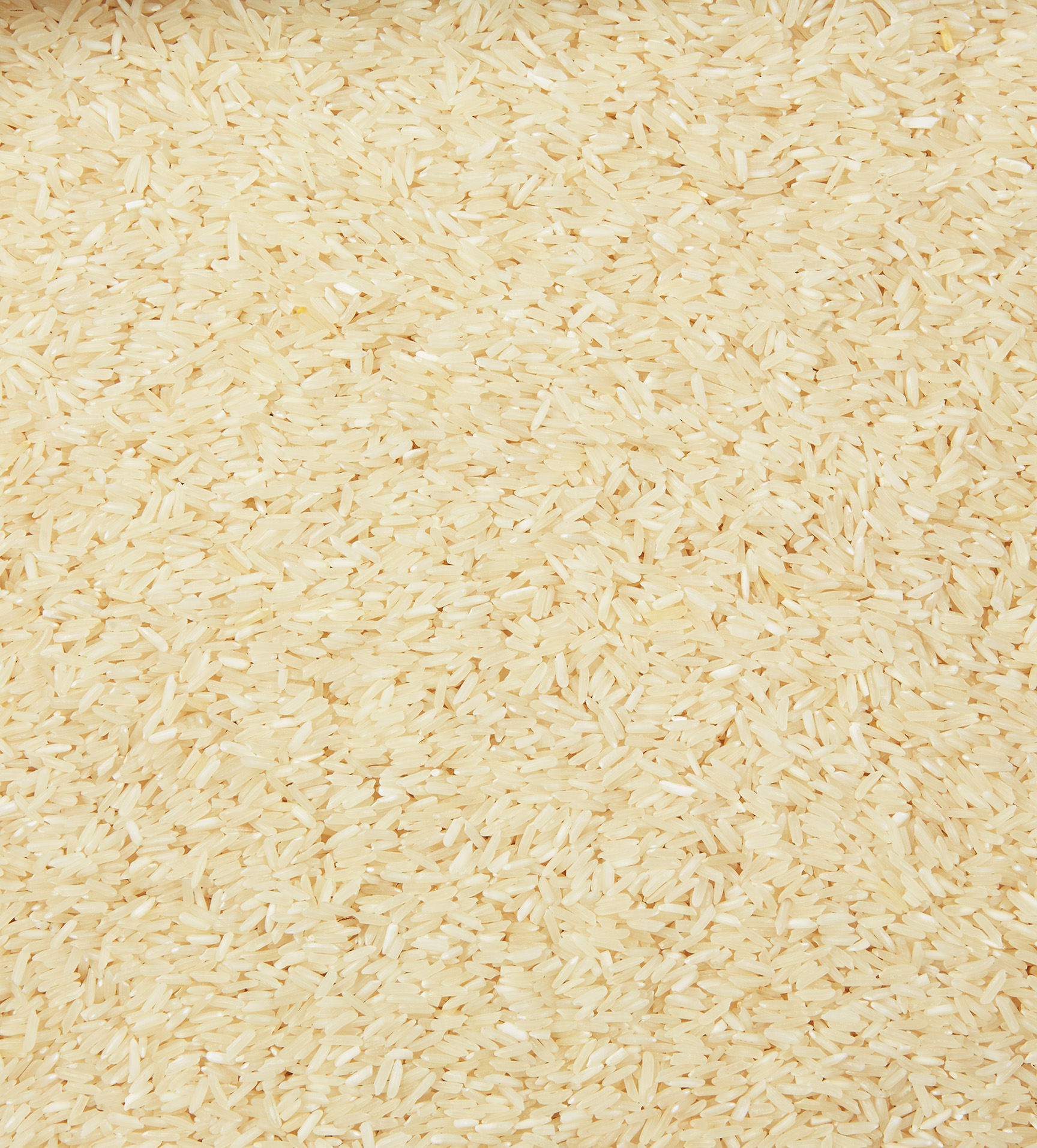 Riz à grain long – Délices de la fôret Valli